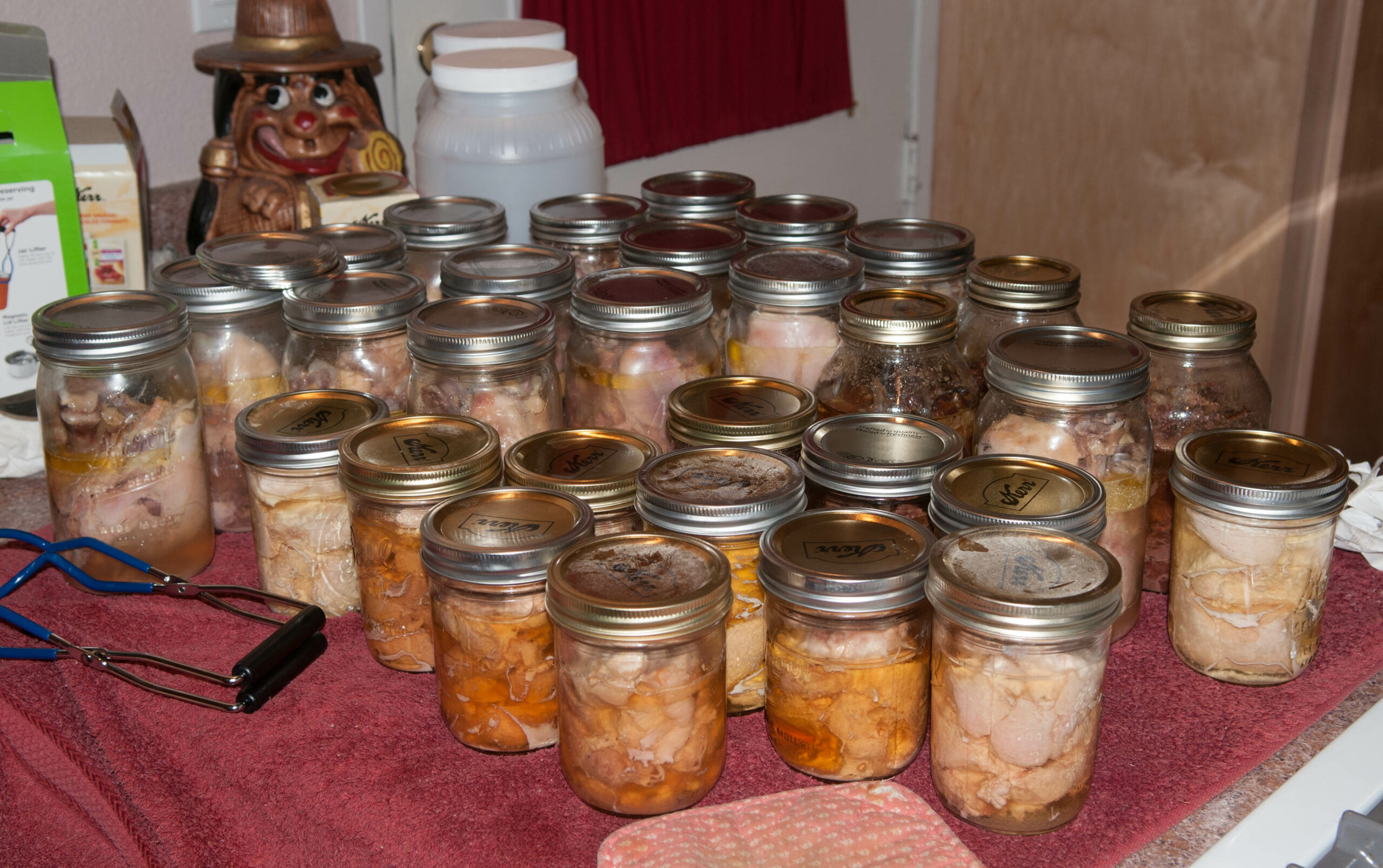 Preserving Meat And Fish PREPAREDNESS ADVICE