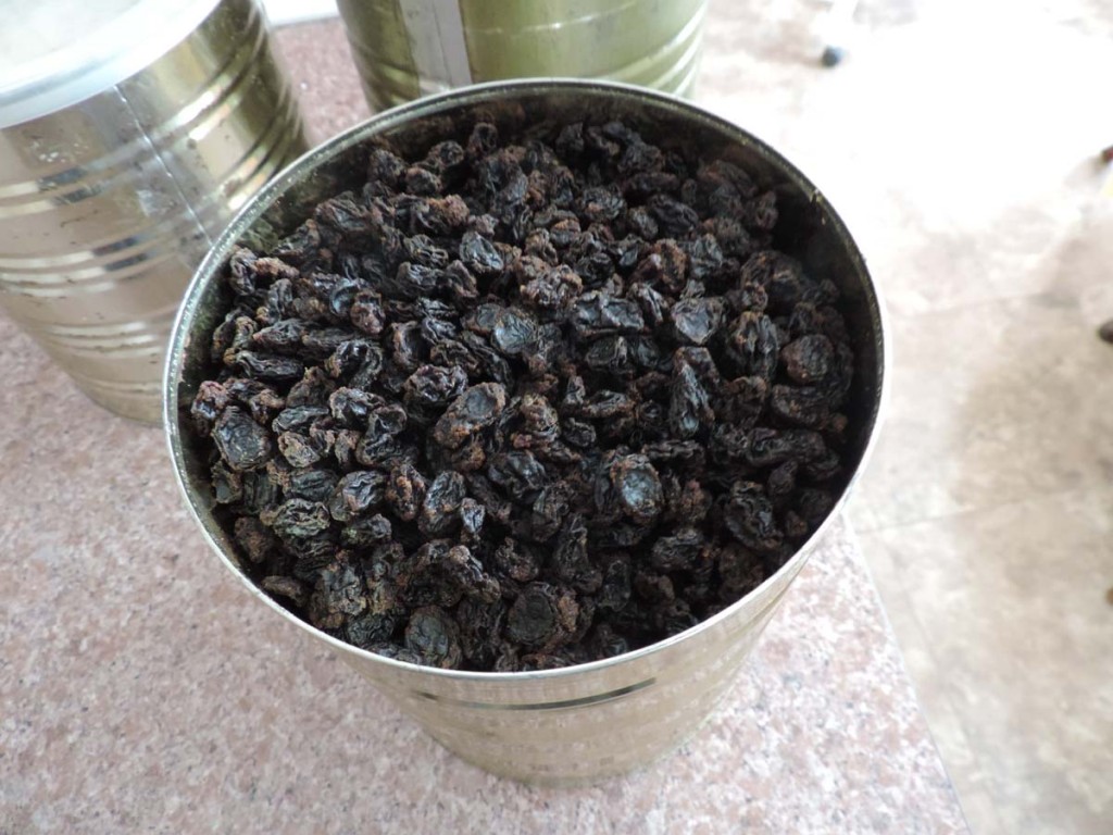 Shelf Life of Old Freeze-Dried and Dried Foods