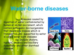 Common Water Borne Diseases and How to Treat Them Without Modern ...